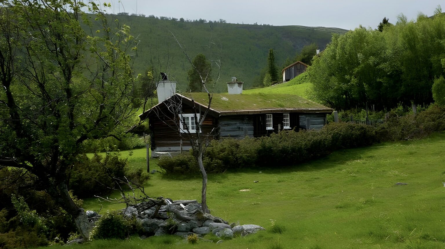 Mengenal Ciri Rumah di Negara Subtropis yang Unik dan Menarik